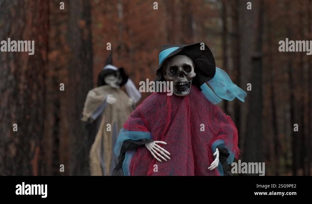 two decorative human skeletons, ghosts in rags and hats in dark forest ...