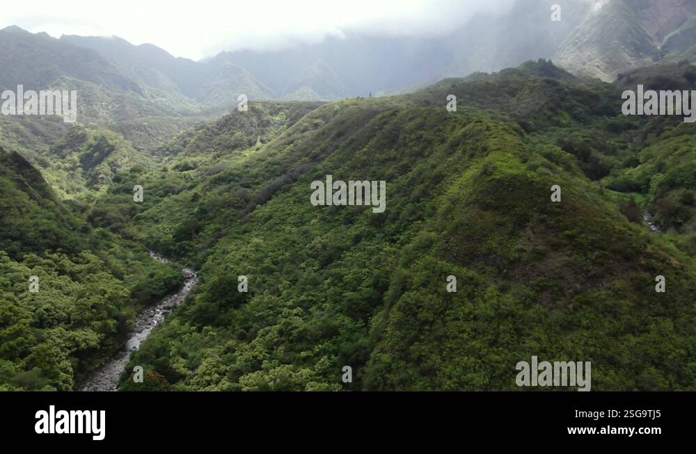 Maui revealed. The 'Iao river streaming beneath the lush green ...