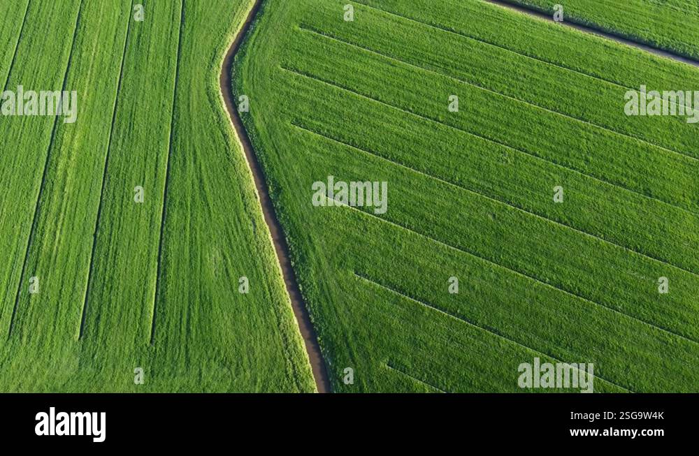 Overhead Shot Birds-Eye Top-Down shot over dutch farmland with a stream ...