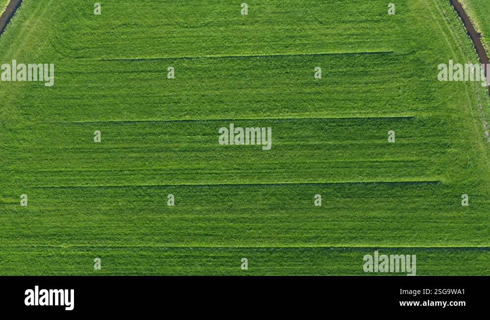 Overhead Shot Birds-Eye Top-Down shot over dutch farmland with a stream ...