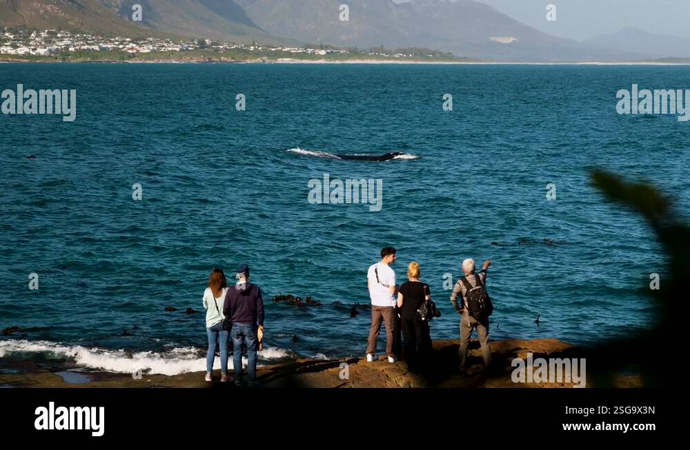 People doing land-based whale watching in Hermanus, South Africa Stock ...