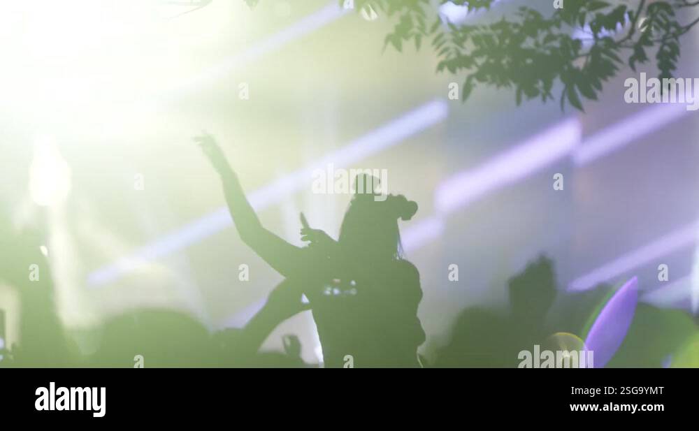 Silhouette people in front of a stage with flashing lights in crowd of ...