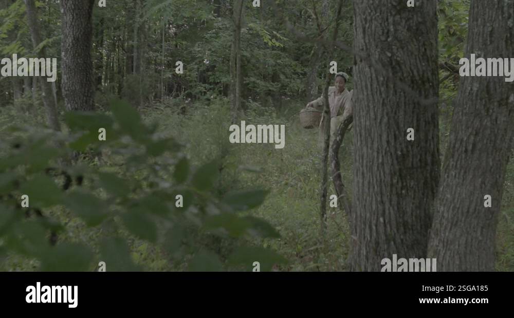 Enslaved African-Americans Running North for freedom - Underground ...