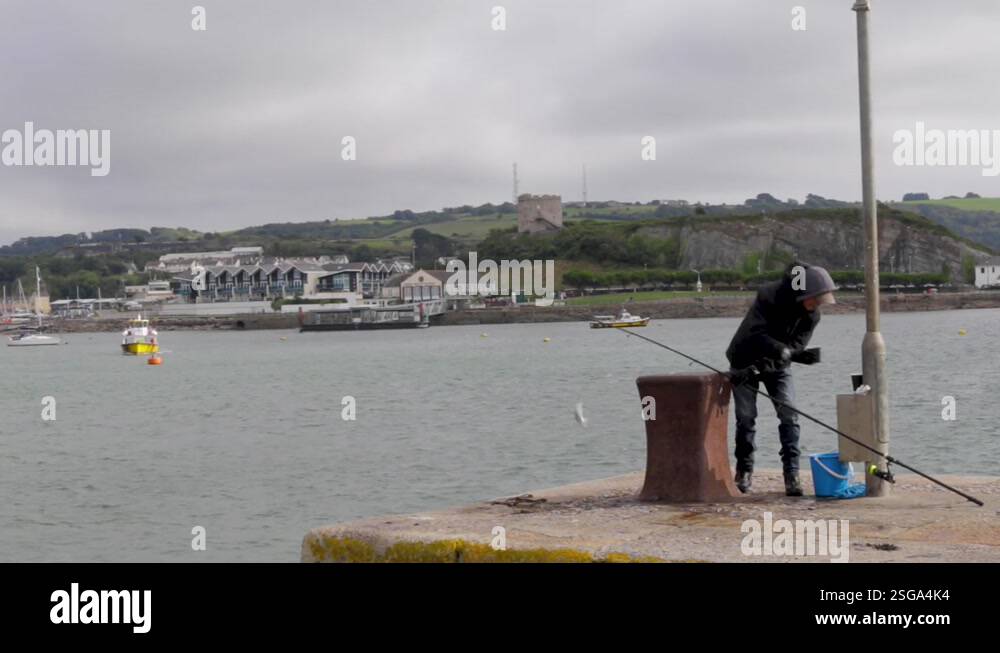 Angler fish seafood Stock Videos & Footage - HD and 4K Video Clips - Alamy