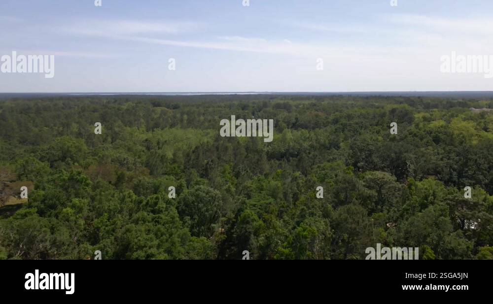 Flying over a forest and there some stratus clouds in the sky Stock ...
