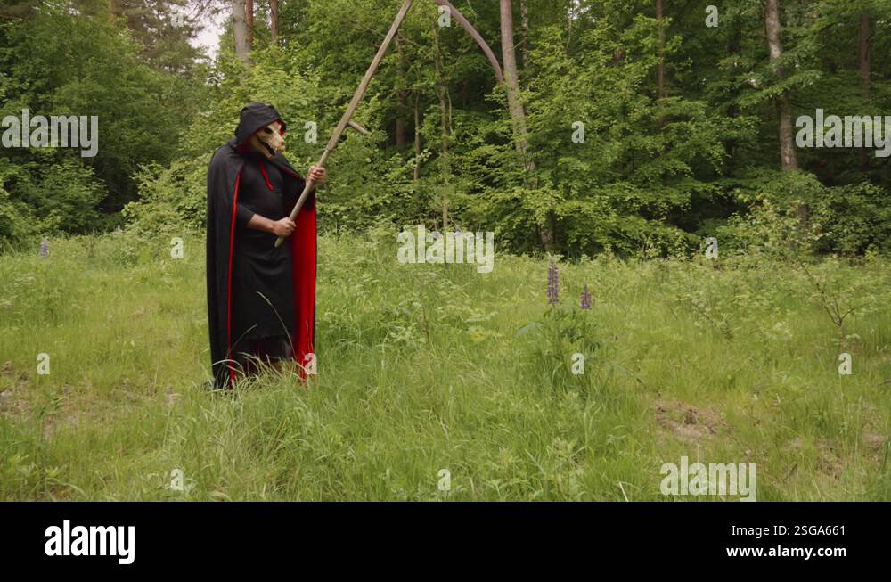 Grim Reaper Cutting The Large-leaved Lupine With Scythe In The Forest ...