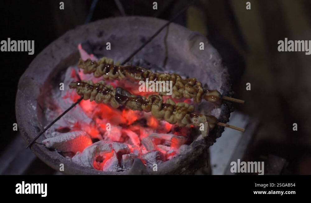 satay on traditional charcoal fire Stock Video Footage - Alamy