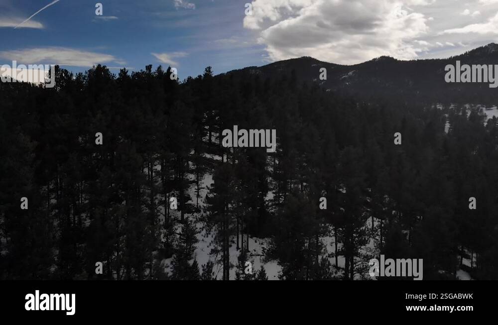 Trees on Mountain on Cloudy Day • Colorado Rocky Mountains • HD Aerial ...