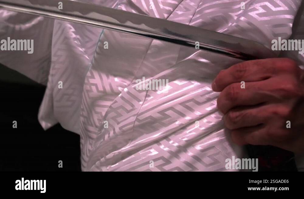 a samurai pulls a samurai sword out of its scabbard Stock Video Footage ...