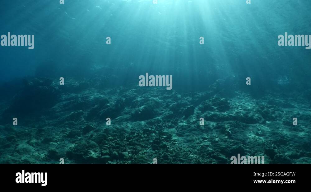 sun ray and sun beam underwater slow ocean scenery for background Stock ...