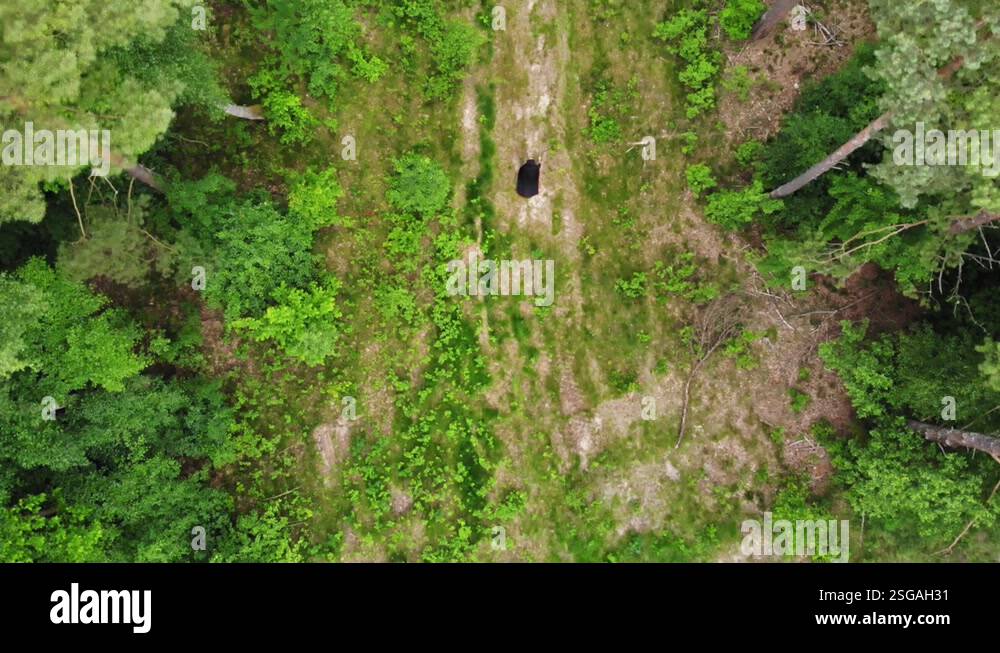 Spooky Jungle With Grim Reaper Walking and Holding Scythe. Aerial ...
