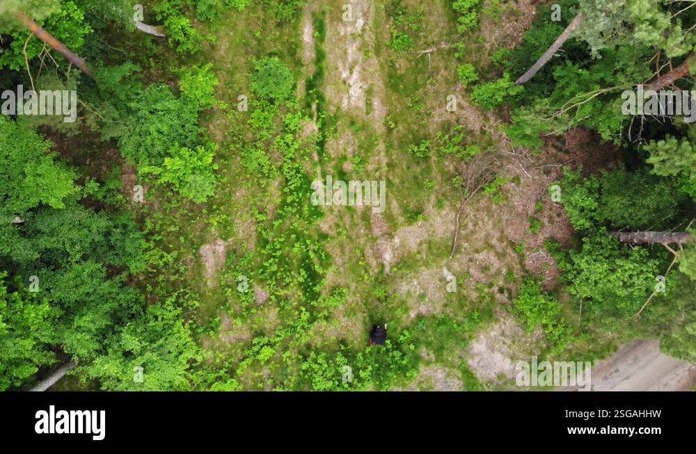 Dark Mower Grim Reaper From Hell At The Midst Of A Jungle. Aerial Shot ...