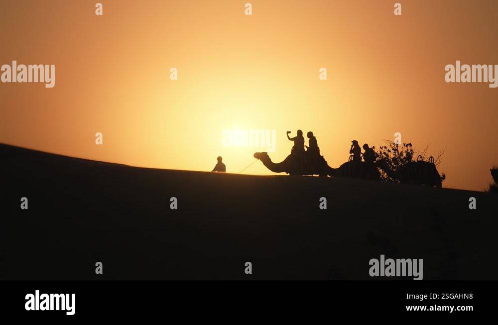 Saudi arabia camels not camel Stock Videos & Footage - HD and 4K Video ...