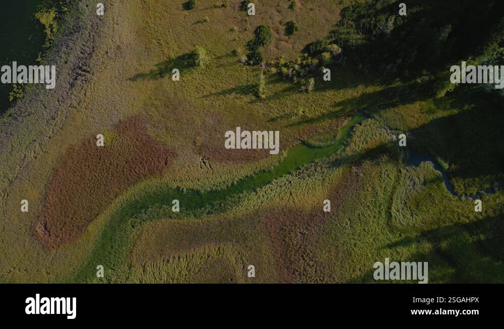 Small swamp river at Lake Spitzingsee in the Bavarian Austrian ...