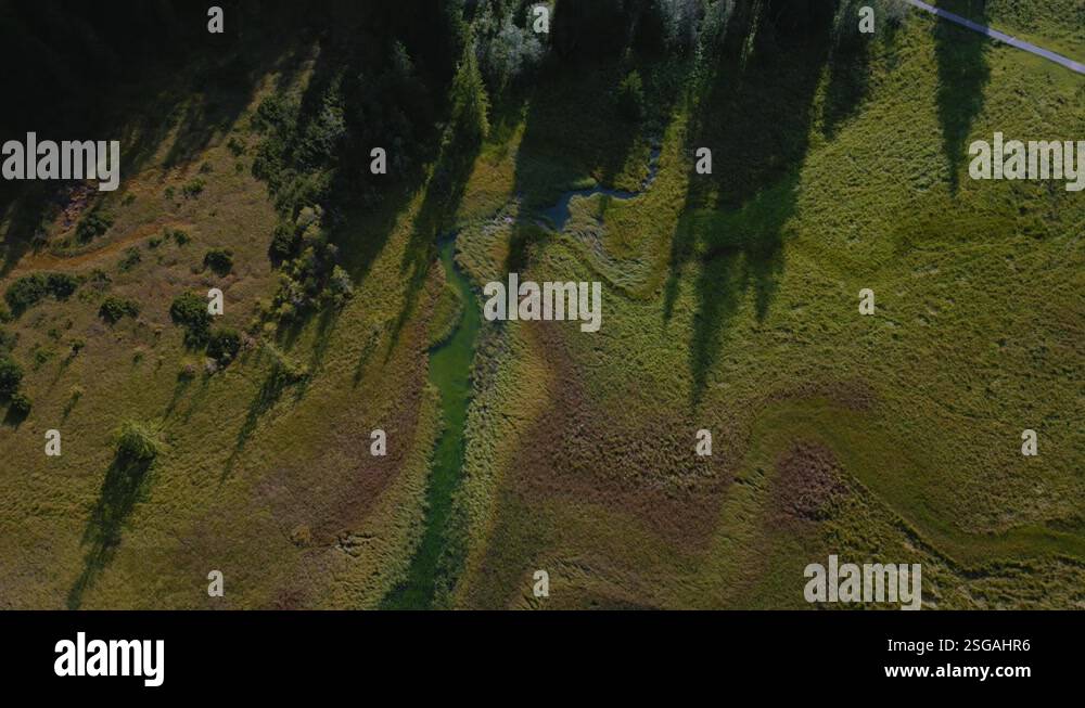 Small swamp river at Lake Spitzingsee in the Bavarian Austrian ...