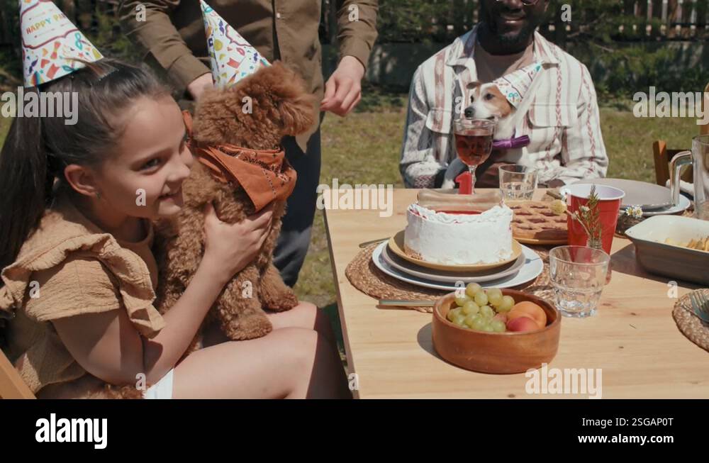 Celebrating dogs Stock Videos & Footage - HD and 4K Video Clips - Alamy