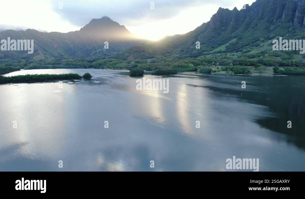 Hawaii fish pond Stock Videos & Footage - HD and 4K Video Clips - Alamy