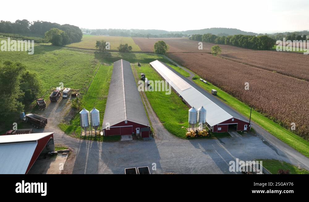 Poultry barns Stock Videos & Footage - HD and 4K Video Clips - Alamy