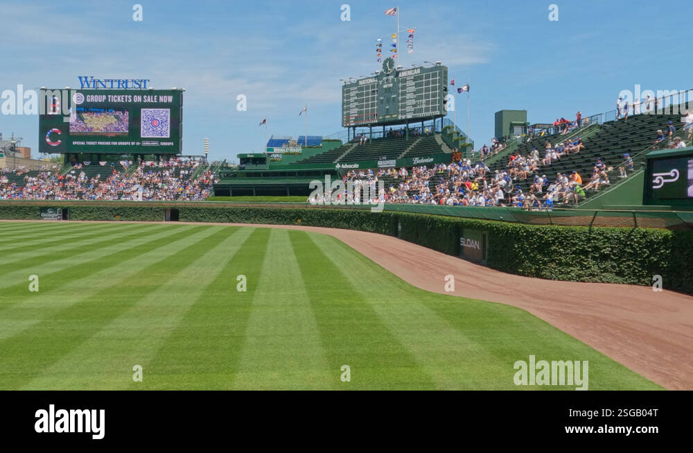 Fixed View of Historic Wrigley Field Ivy Outfield and Manual Scoreboard ...