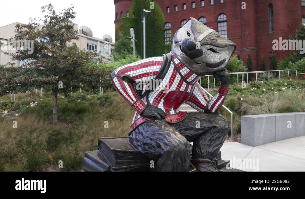 Bucky Badger statue on the campus of the University of Wisconsin in ...