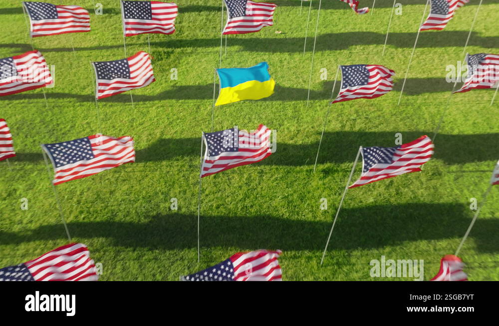 Ukrainian and American flags representing multinational victims of ...
