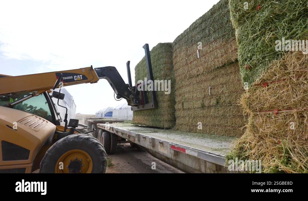 Hay bales transport Stock Videos & Footage - HD and 4K Video Clips - Alamy