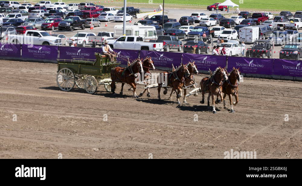 Team wagon Stock Videos & Footage - HD and 4K Video Clips - Alamy