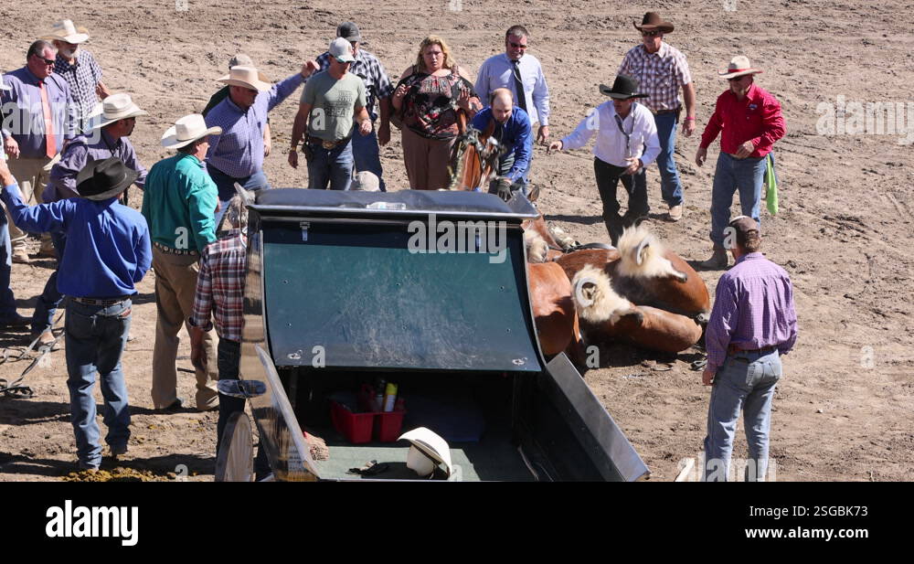 Crash wagon Stock Videos & Footage - HD and 4K Video Clips - Alamy