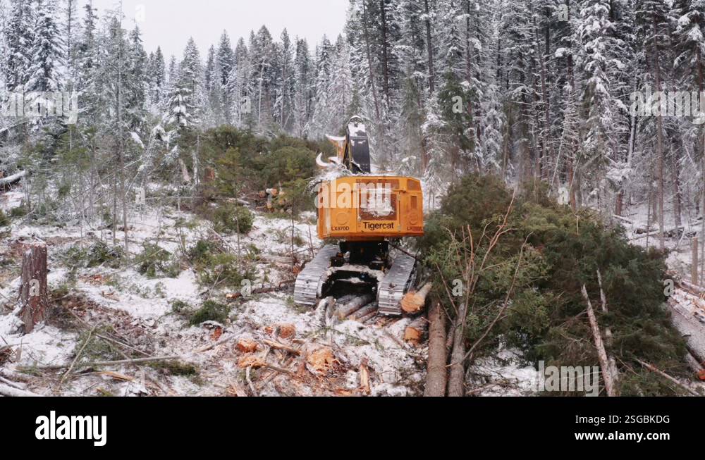 Drone shows close up of industrial timber logging machine crawling ...