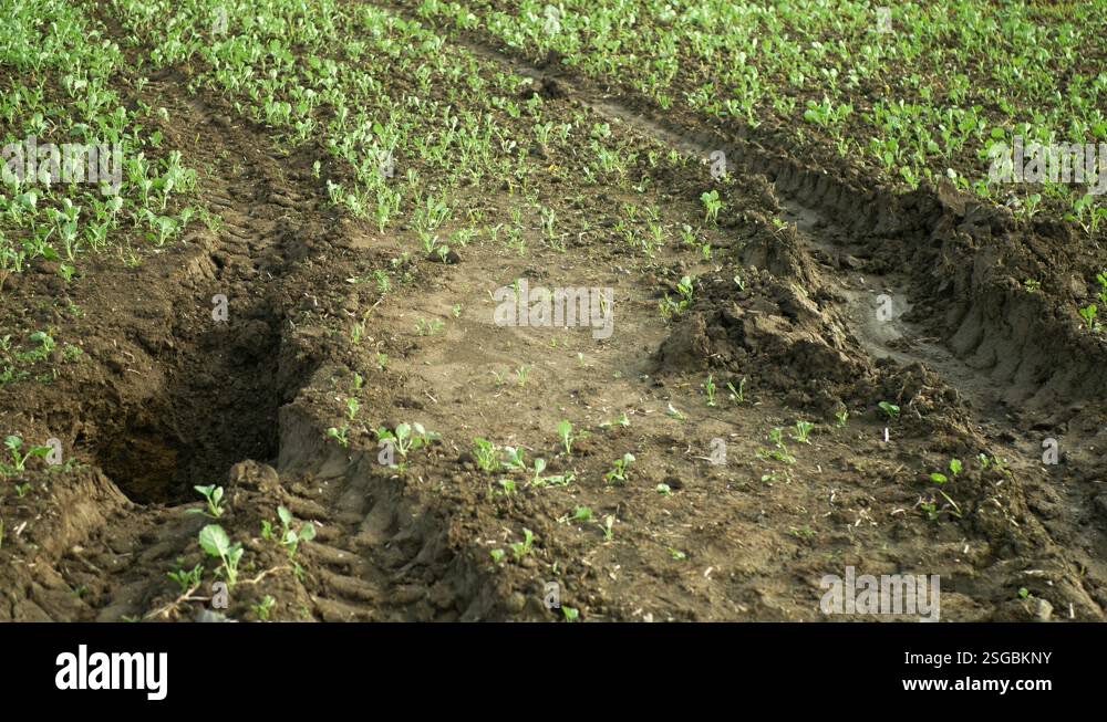 Erosion damage field subsoil hole pit soil inappropriately managed ...