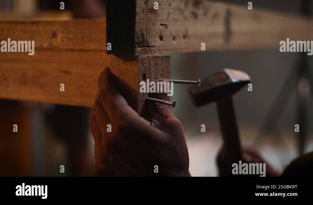 Closeup of a male carpenter using a hammer to hammer the nails in a ...