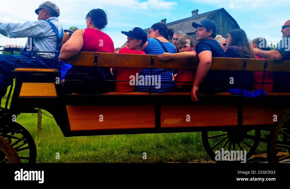 Early 1900s horse wagon tour with modern tourists onboard going back in ...