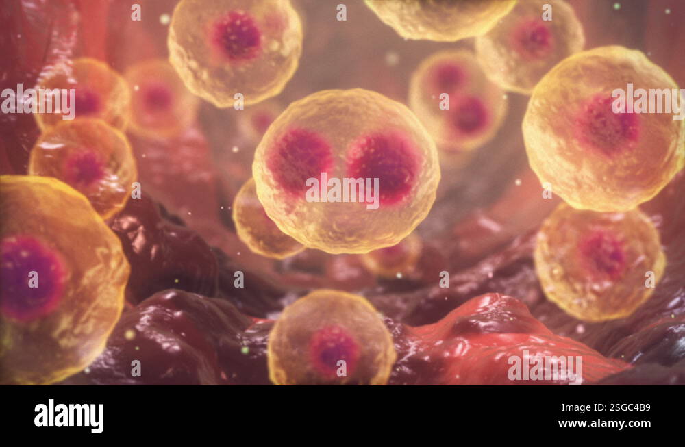 3D Animation of Cell division under a microscope. Cloning Cells. Cell ...