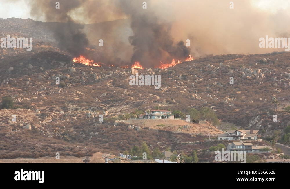 Wildfire Forest Ravaging a Piece of Dry Land Smoke and Flames Block the ...