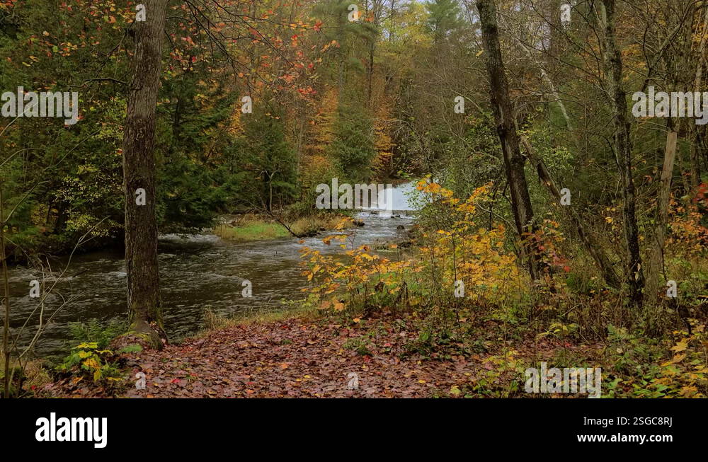 Generic natural attraction of autumn forest and river flow in Canada ...