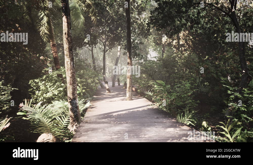 Wooden path track from planks in forest park Stock Video Footage - Alamy