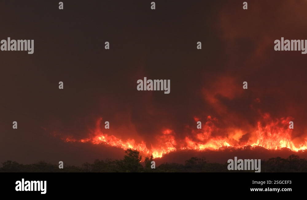 Deadly wildfire burning forest at night and creating heavy black smoke ...