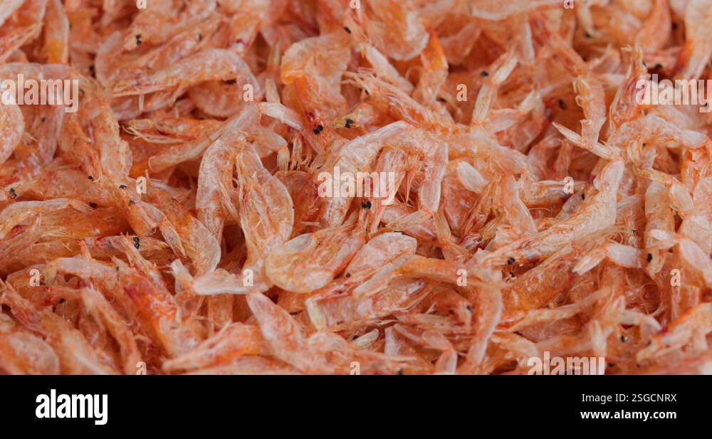 Dried shrimp prawn in traditional Chinese cuisine Stock Video Footage ...