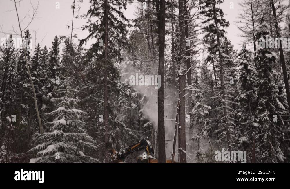 Tight shot industrial timber manipulator saw machine takes snow-covered ...