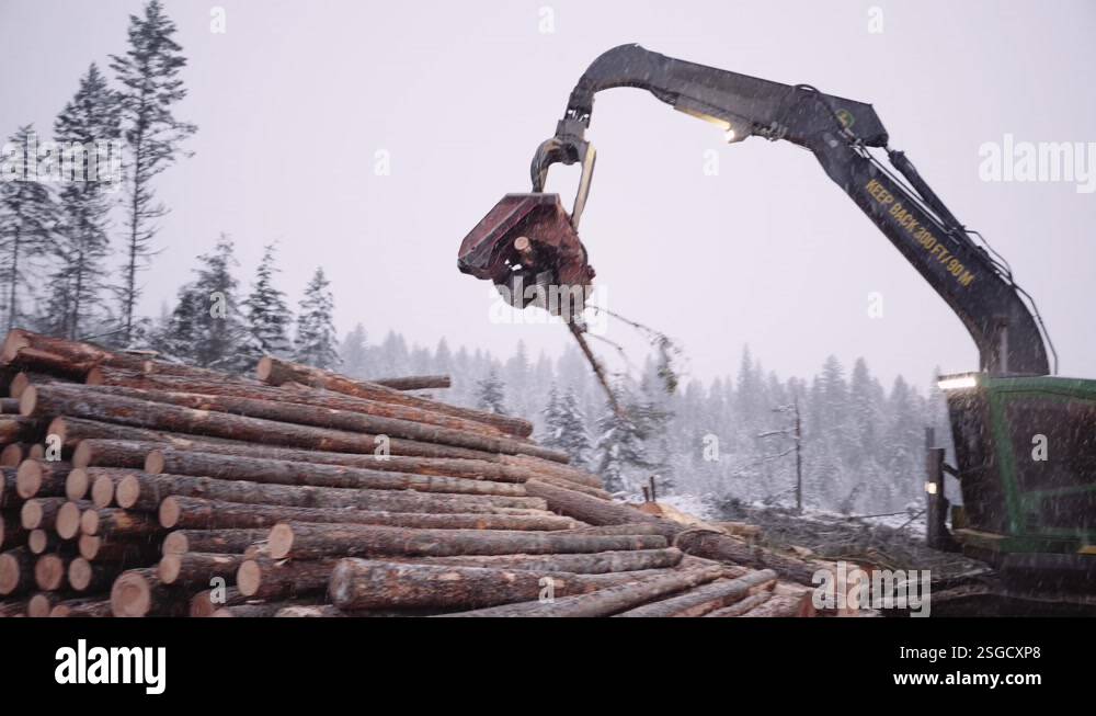 Sorting piles Stock Videos & Footage - HD and 4K Video Clips - Alamy