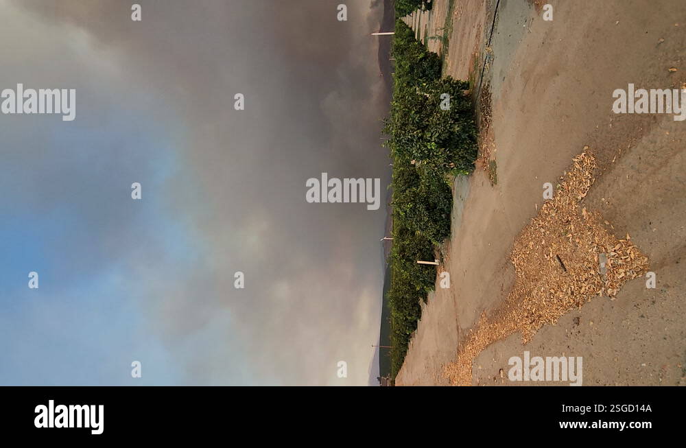 View of destructive wildfire next to road, evacuation of the fire area ...