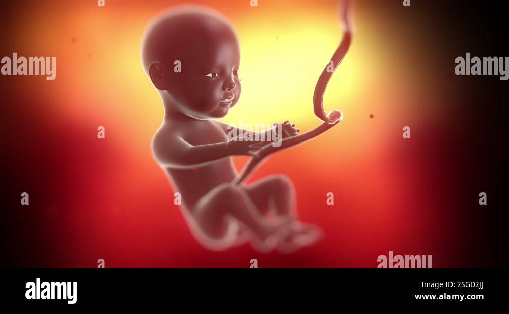 Beautiful black baby fetus kicking inside of mother's womb. Ready to ...