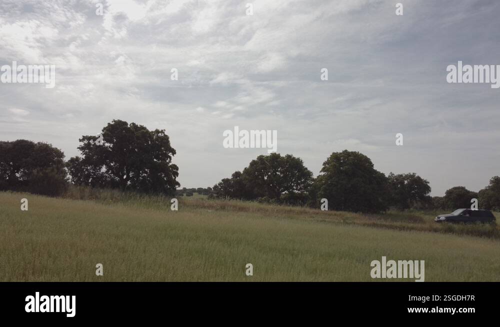 A shot of a light slope with some trees under a cloudy sky. A 4x4 pass ...