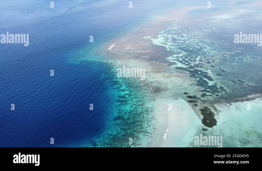 Biodiverse coral reef ecosystem Stock Videos & Footage - HD and 4K ...