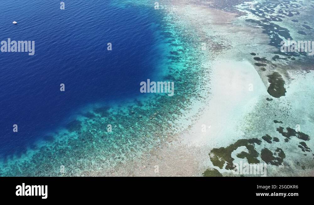 Dive boat on edge of beautiful, healthy coral reef marine ecosystem, on ...