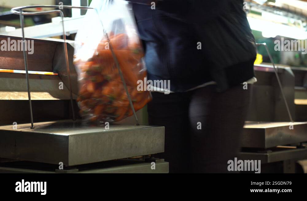 Carrot Sorting, Weighing And Packaging In Food Processing Plant - Video ...