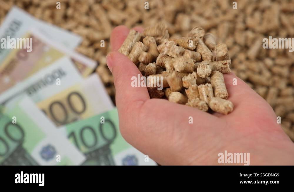 Pellet Fuel. Wood Sawdust Pellets and Paper Banknotes, Money. Euro ...