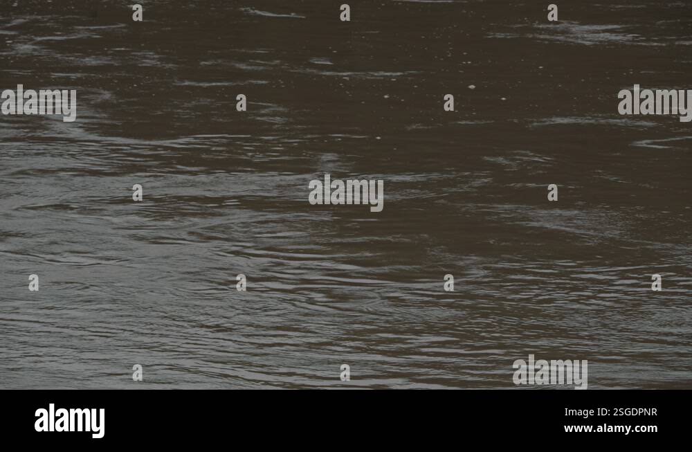 Ripples Of Water In A Lagoon Inside Amazon Rainforest In Ecuador ...