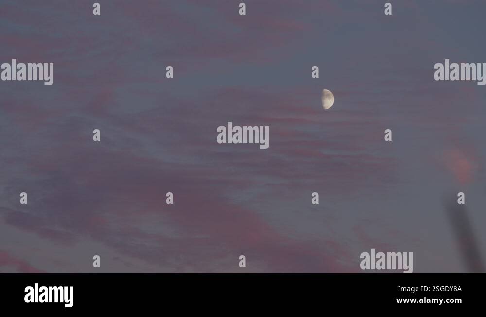 Grass blade moves in breeze as half moon shines in dramatic golden hour ...
