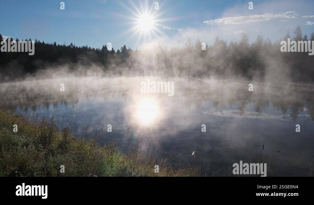 Spectral sun star as fog rises off calm pond on cool boreal morning ...